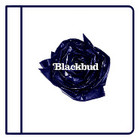 BlackBud — Look At Me